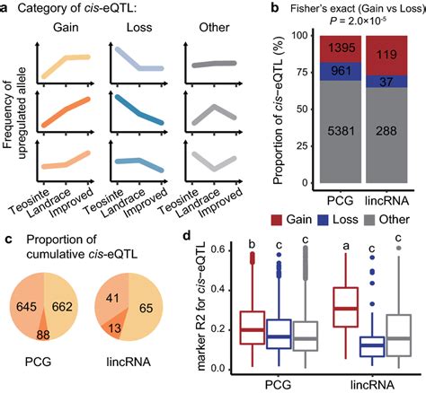Evolutionary Divergence Of Long Intergenic Non Coding Rnas Lincrnas