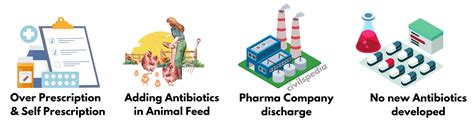 Anti Microbial Resistance