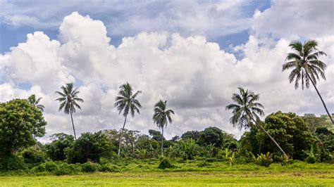 Daniel Tomkinson Dantomkinson Twitter