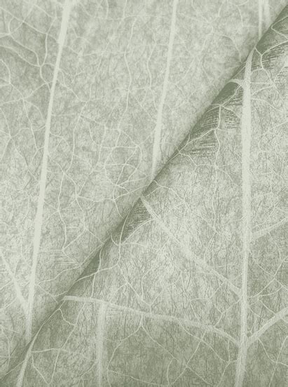 Dicot Spa Leaf Signature Walls Wallpaper