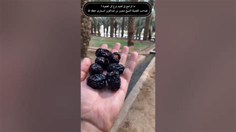 ما الراجح في تحديد نوع تمر العجوة ؟ لصاحب الفضيلة الشيخ منصور بن عبدالعزيز السماري حفظه الله
