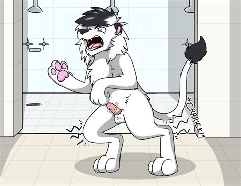 Rule 34 2014 Animal Genitalia Animal Penis Anthro Anthro To Feral