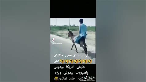 اینه خر سواری Youtube