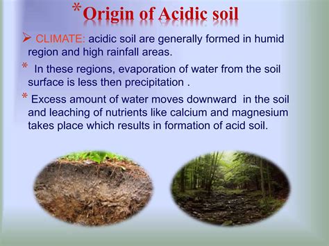 Acidic Soil Igkv Raipur Cg Pptx