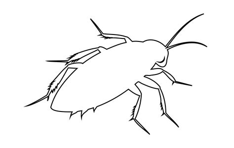 Black Outline Of Cockroach Isolated On White Background Illustration