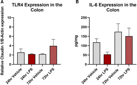 Tlr4 And Il 6 Expression In The Colon Following Intratracheal Lps