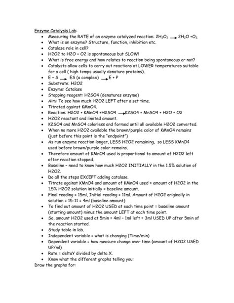 Enzyme Catalysis Lab