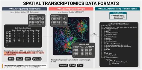 Spatial Transcriptomics Technologies Ai4bio Learning Hub