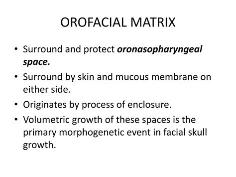 Functional Matrix Hypothesis Revisited Pptx