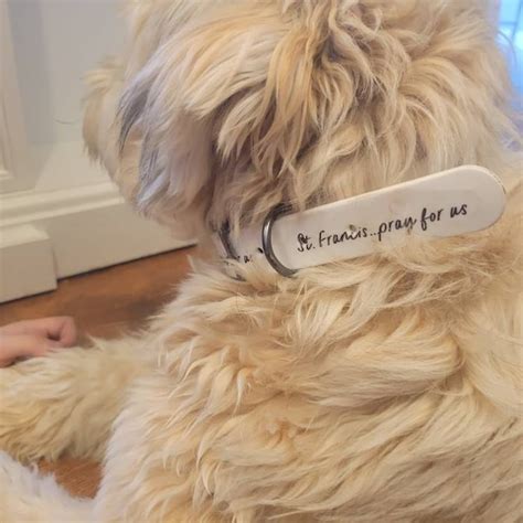 Parts Of The Catholic Mass Printable Bundleparts Of The Catholic Mass