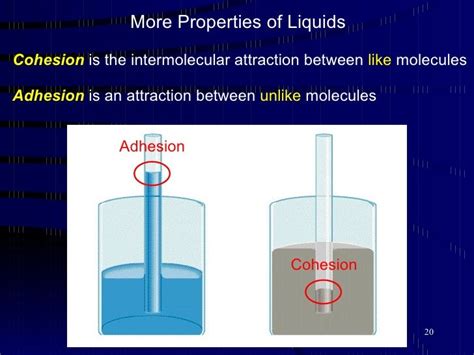 Cohesion And Adhesion Meniscus