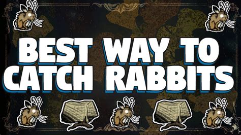 Best Way To Catch A Rabbit In Dont Starve Together Easiest Way To