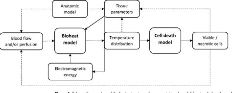 Figure 1 From Computational Modeling Of Thermal Ablation Zones In The