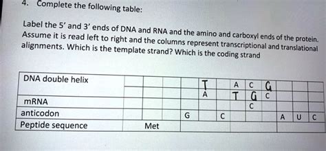 SOLVED Complete The Following Table Label The And Ends Of DNA Assume It Is Read Left To