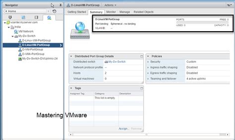 Distributes Switch Port Group Settings Mastering Vmware