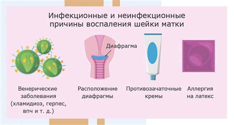 Дисплазия шейки матки 1 степени: причины, симптомы, диагностика и ...