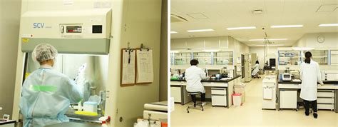 Confronting Covid 19 By Establishing A Pcr Testing System Through