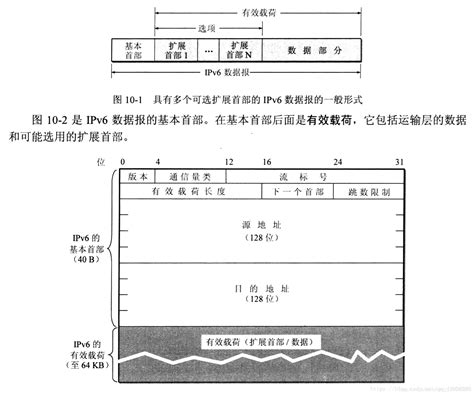 Ip协议首部详解orgotf 开放原子开发者工作坊 Ip协议首部详解orgotf 开放原子开发者工作坊