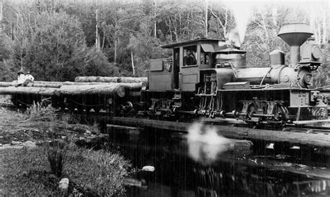 120 Logging Railroads Ideas Railroad Model Railroad Logging Industry