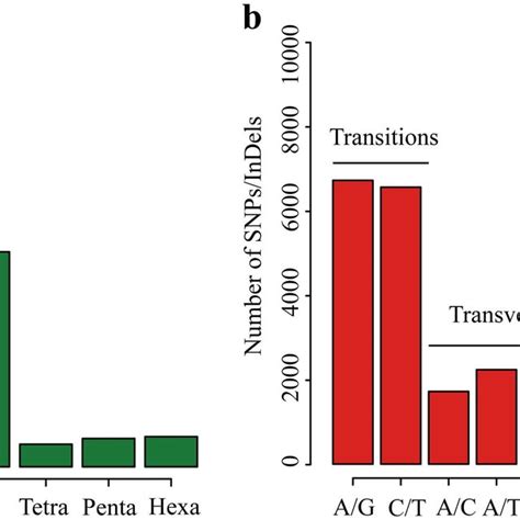 Distribution Of Simple Sequence Repeats Ssrs Single Nucleotide Download Scientific Diagram