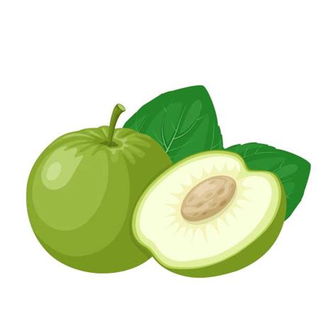 20 Masau Fotos De Stock Imagens E Fotos Royalty Free Istock