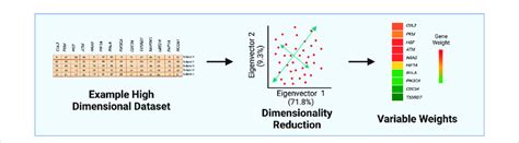 Steps Of Principal Component Analysis Pca This Example Figure