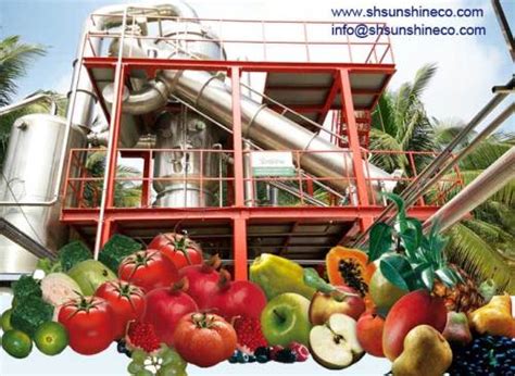 Tomato Paste Planttomato Paste Processing Factory High Quality Tomato