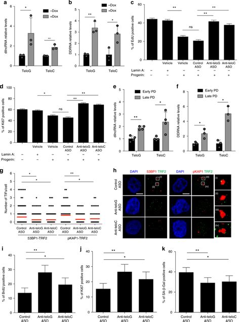 Low Levels Of Progerin Expression And Lamin A G608g Mutation Cause