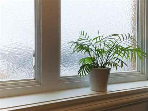 Frosted Glass Types Windows At Mark Reina Blog