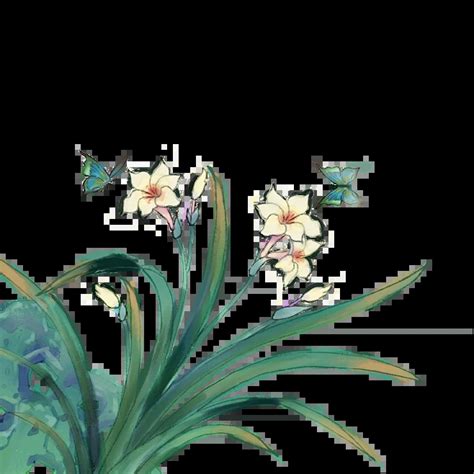 古风 花草 花 水墨 花瓣网