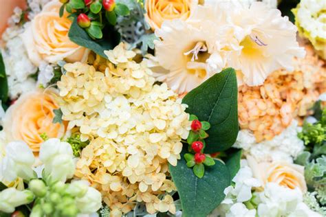 Bouquer Bilder Durchsuchen 110 Archivfotos Vektorgrafiken Und Videos