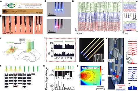 Multimodal Neural Probes For High Spatiotemporal Optogenetics And