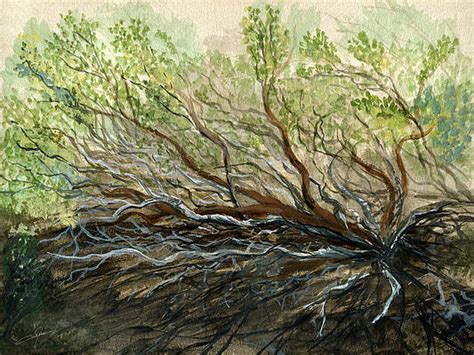 Manzanita Art Pixels