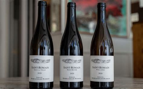 Domaine Henri And Gilles Buisson Franc About Wine