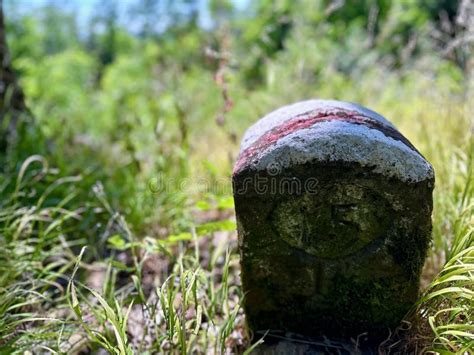 Old Stone Milestone Marker Surrounded By Green Vegetation In A Sunlit