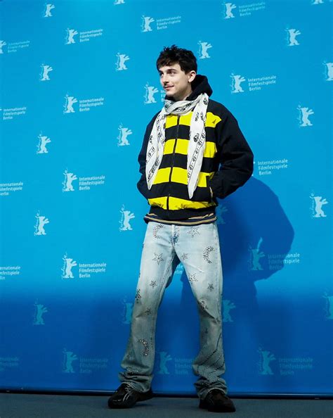 ტიმოთი შალამე ბერლინის კინოფესტივალზე The Diary