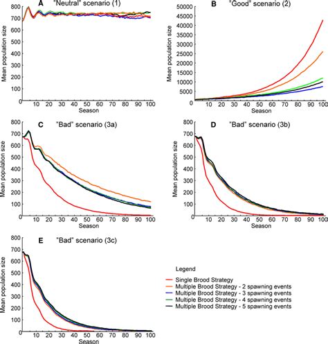 Effects Of Breeding Strategy On Population Size Over 100 Simulated Download Scientific Diagram
