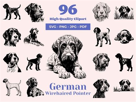 German Wirehaired Pointer Svg Bundle 96 Cut Files Diverse Dog Poses