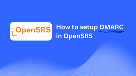 How To Add Skysnag Dmarc To Your Dns Comprehensive Dns Provider Setup