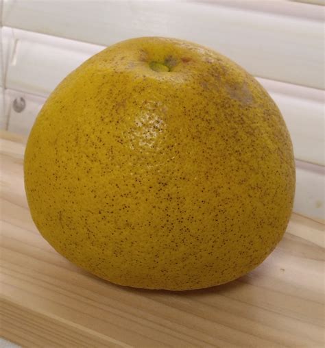 自然村の美味しいブログ