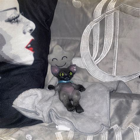 Squishy Desert Rain Frog Cute Butt Frog Fidget Etsy