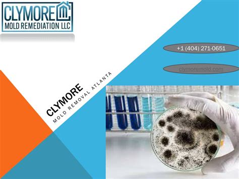 Ppt Clymore Powerpoint Presentation Free Download Id 11754294