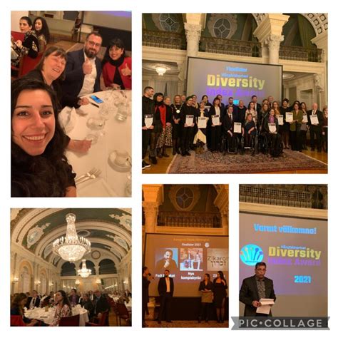 Zeynep Erdal 花海韵 On Linkedin Diveristy Inclusivesociety