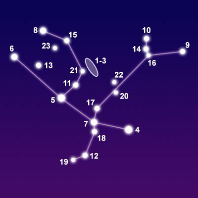 Constellation Andromeda The Constellations On Sea And Sky