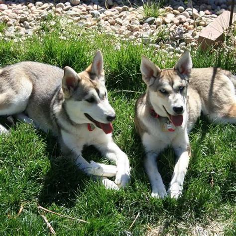 Bruce Bartlett I Never Heard Of Keith Urban Before He Facebook