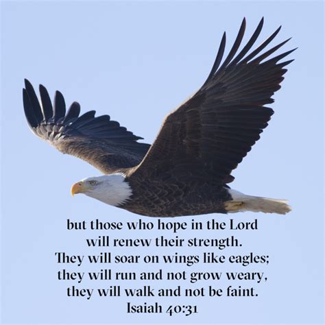 Isaiah 40 31 But Those Who Hope In The Lord Will Renew Their Strength