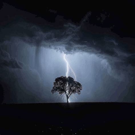 Free Lightning Strikes Tree Photo Lightning Tree Night Download At Stockcake