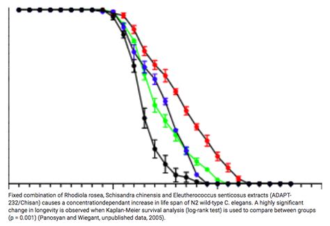 Adaptogen Formula For Endurance Cognition Immunity And Stress
