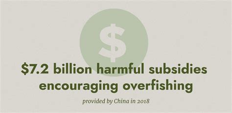 Overfishing Statistics Data And Facts Greenstories