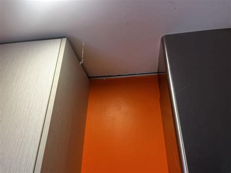 Best Scotia Cornice Whatever Its Called For Ceiling R Diynz